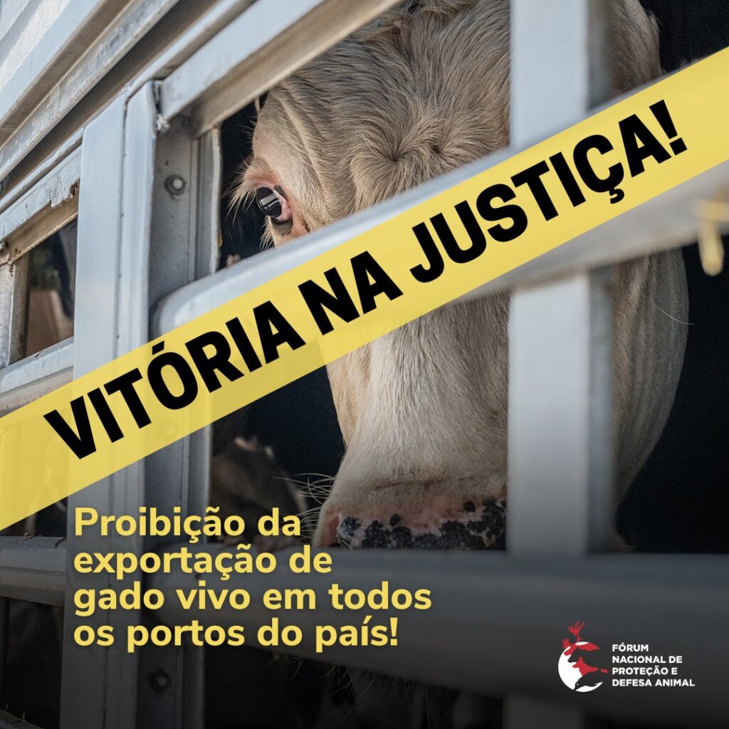 Victory! Brazil Bans The Live Export Of Cows; Historic Ruling ...