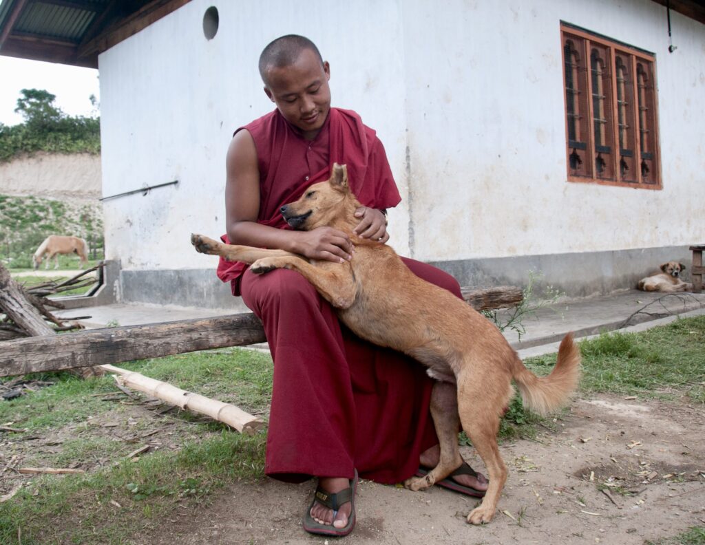 The Kingdom Of Bhutan Becomes The First Country In The World To Achieve ...