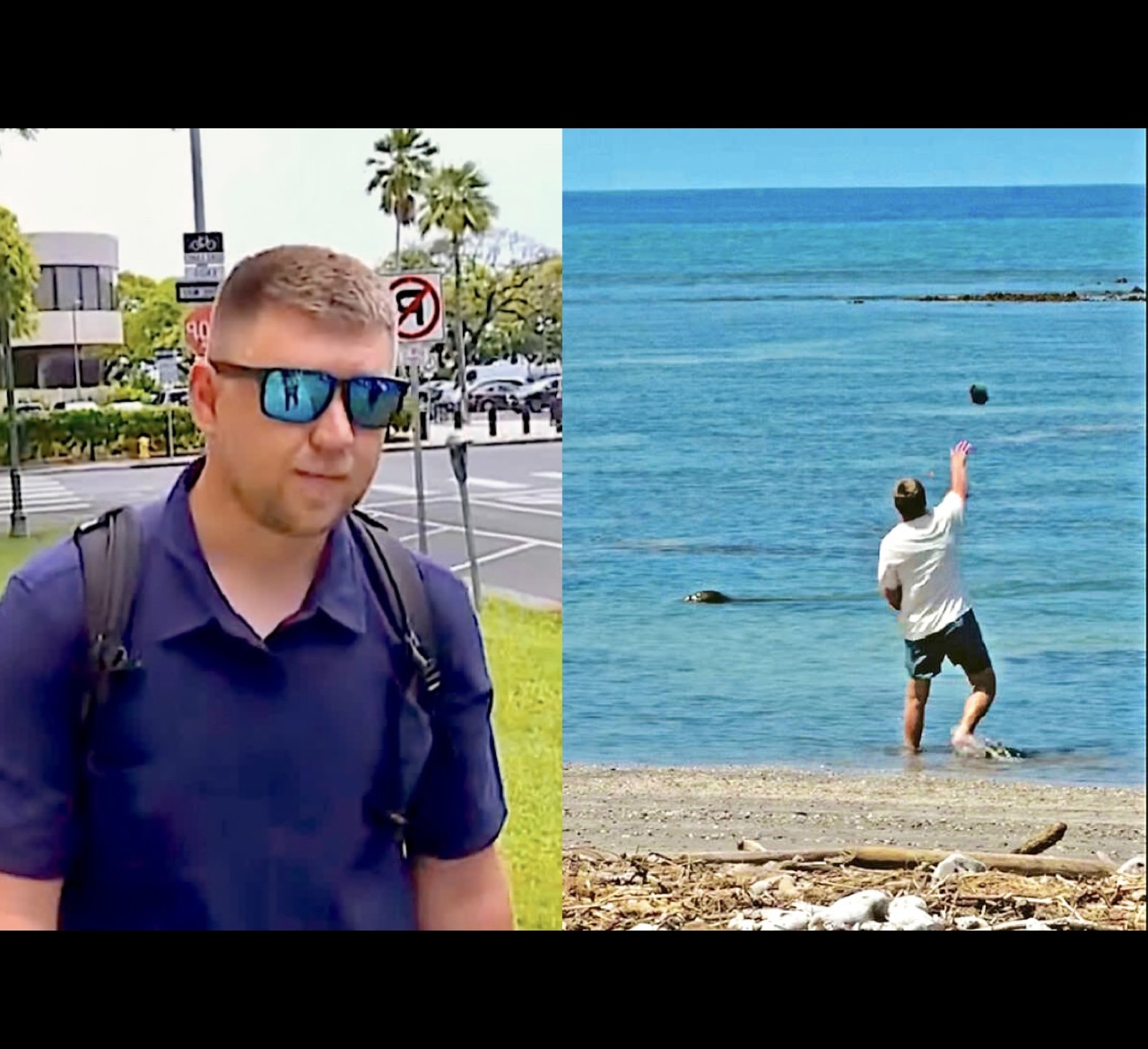 Man Accused Of Hurling Large Rock At Endangered Hawaiian Monk Seal ...